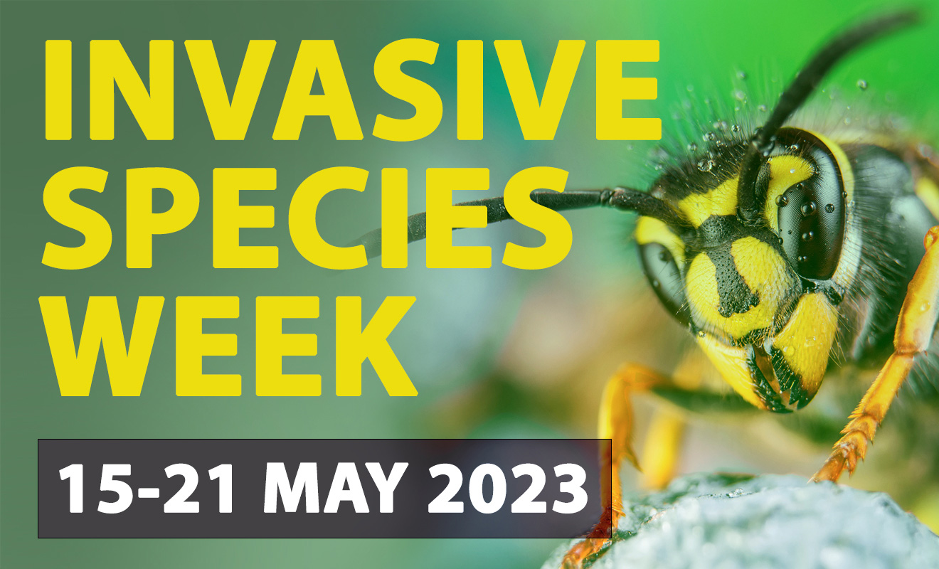 Invasive Species Week - Killgerm Chemicals Ltd